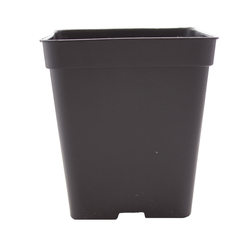 Square Eco Black Pot | MACE0005 | Natural Systems